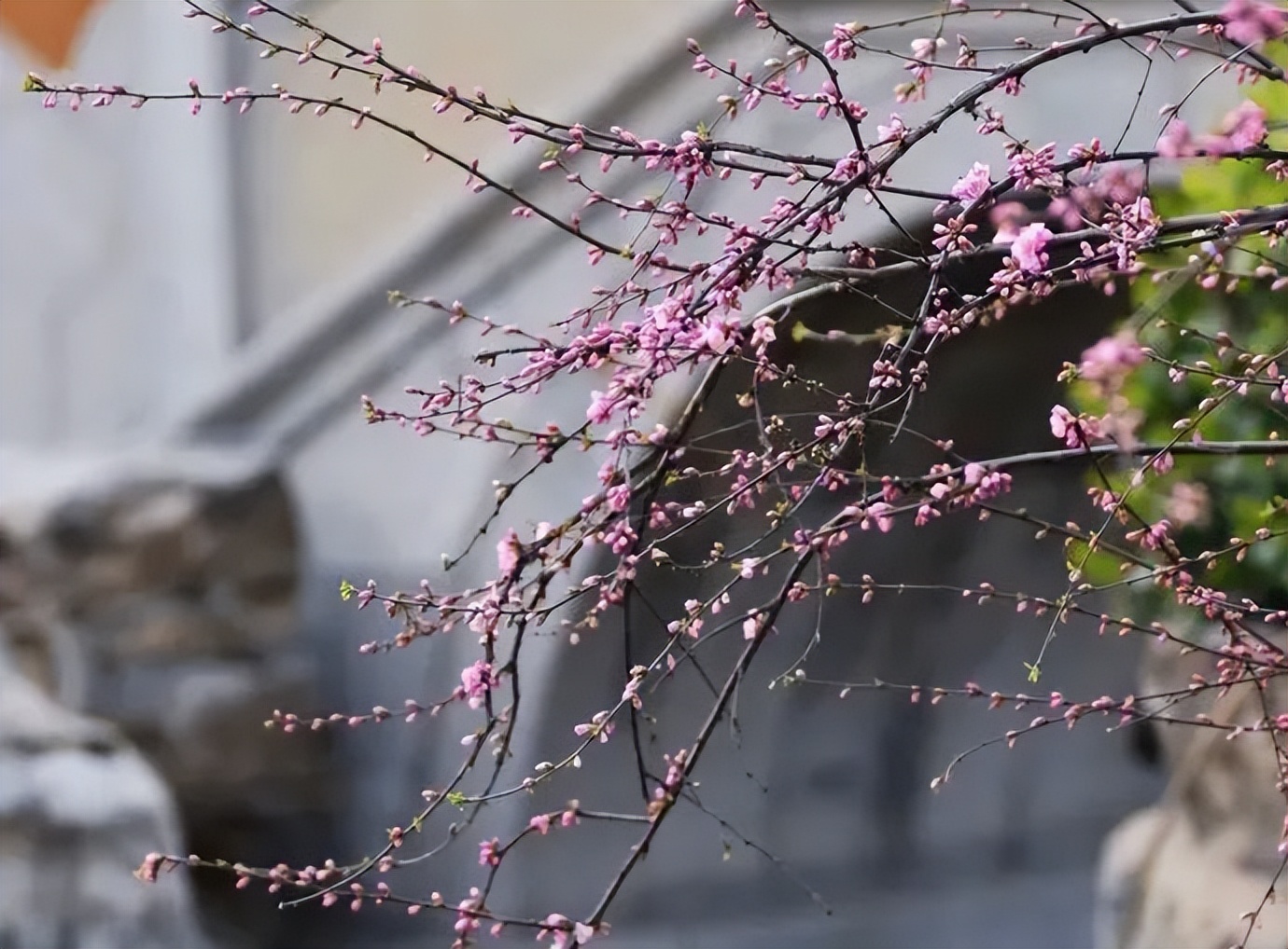 Such a classic, yet so "young" ancient city of Luanzhou - iNEWS