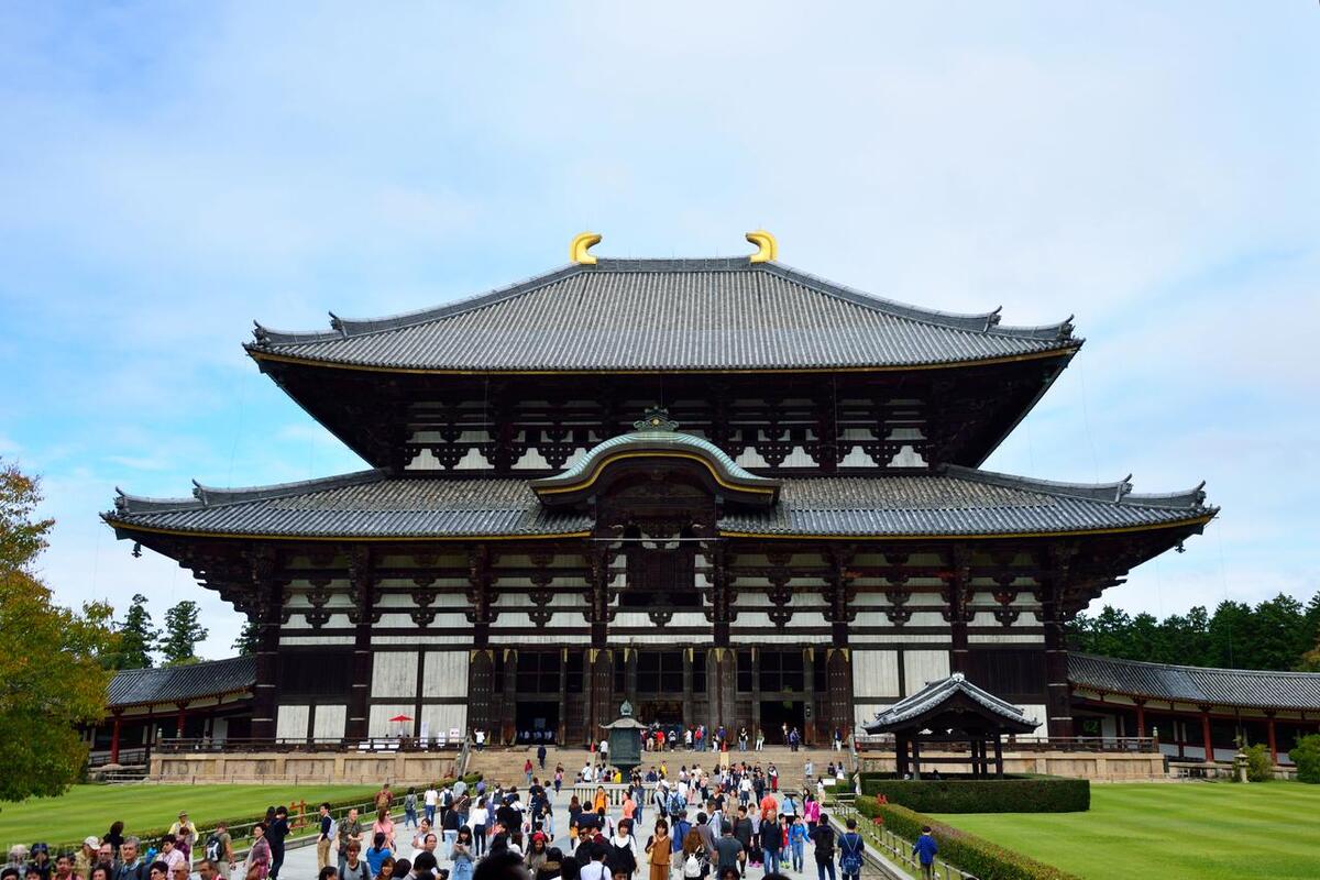 Royal Experience: Immerse yourself in the mystery and grandeur of ...