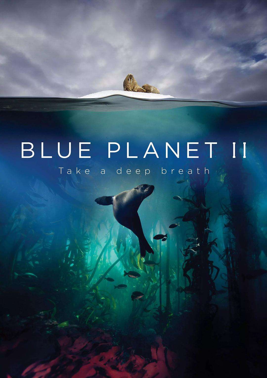 Environmental Issues and Social Responsibility in Documentaries: Taking ...