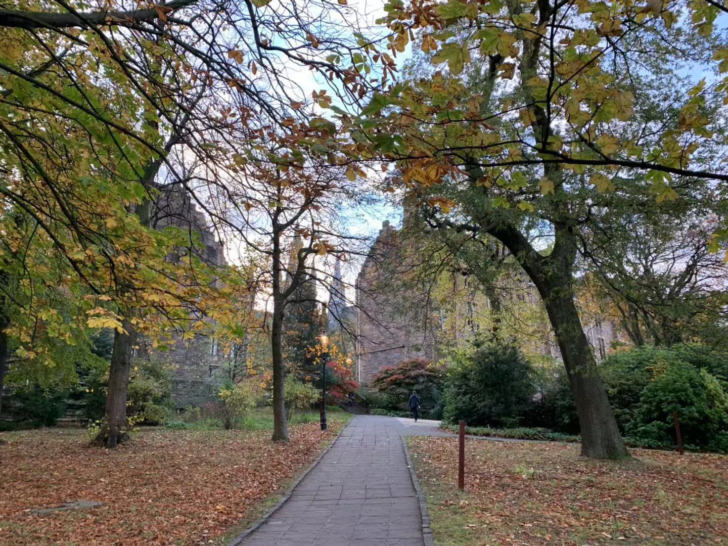 "Copy" transparent puppet line: Sunak takes office as British Prime ...