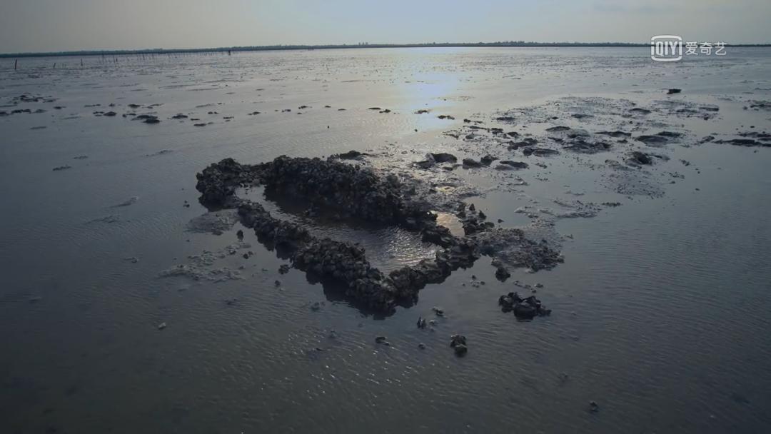 "Underwater China": China's first large-scale underwater ecological ...