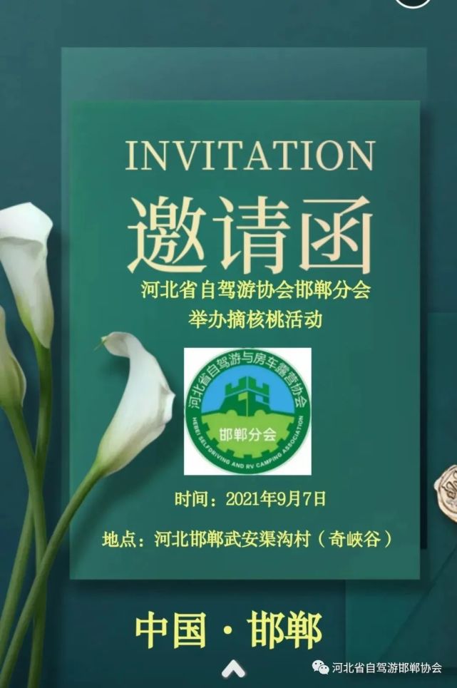 The second season of playing walnuts at Wu'an Walnut Festival - iNEWS