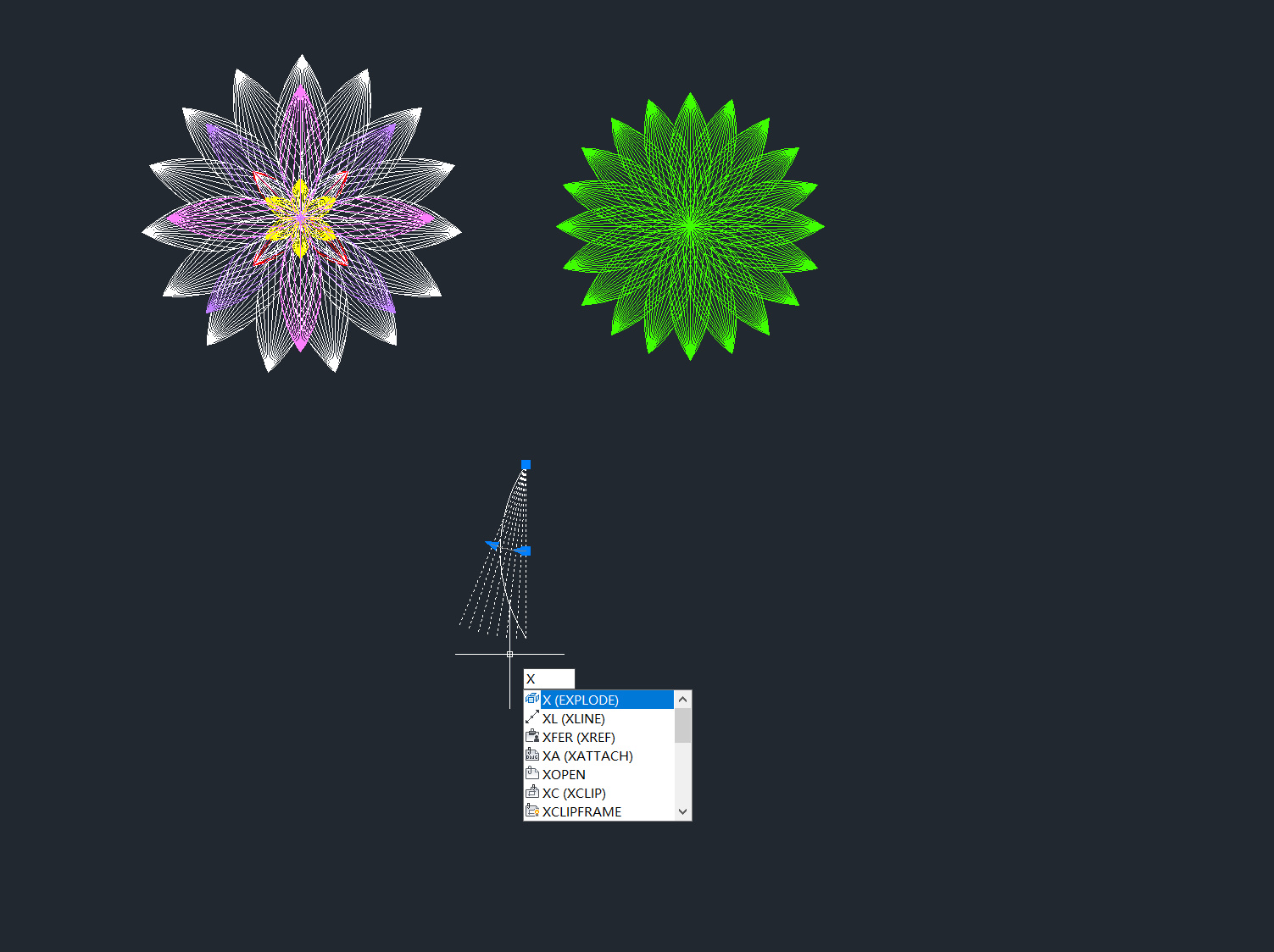 CAD practice drawing 12 flowers - iMedia