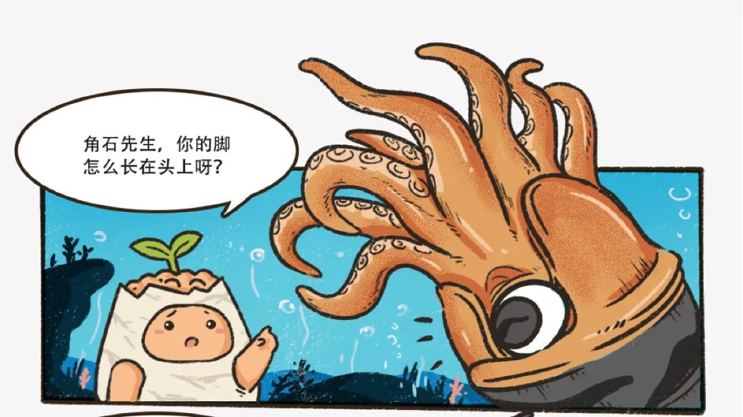 It turns out that the way of going out of Jiaoshi is so cool~ - iNEWS