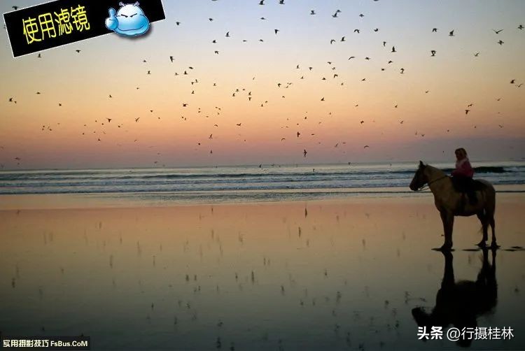 How to Take Creative Reflection Photos - iNEWS