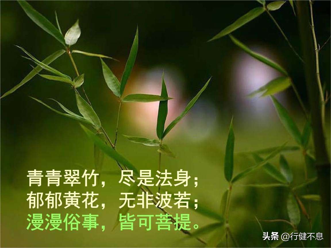 Regression turns out to be forward: Four Zen poems full of great wisdom ...