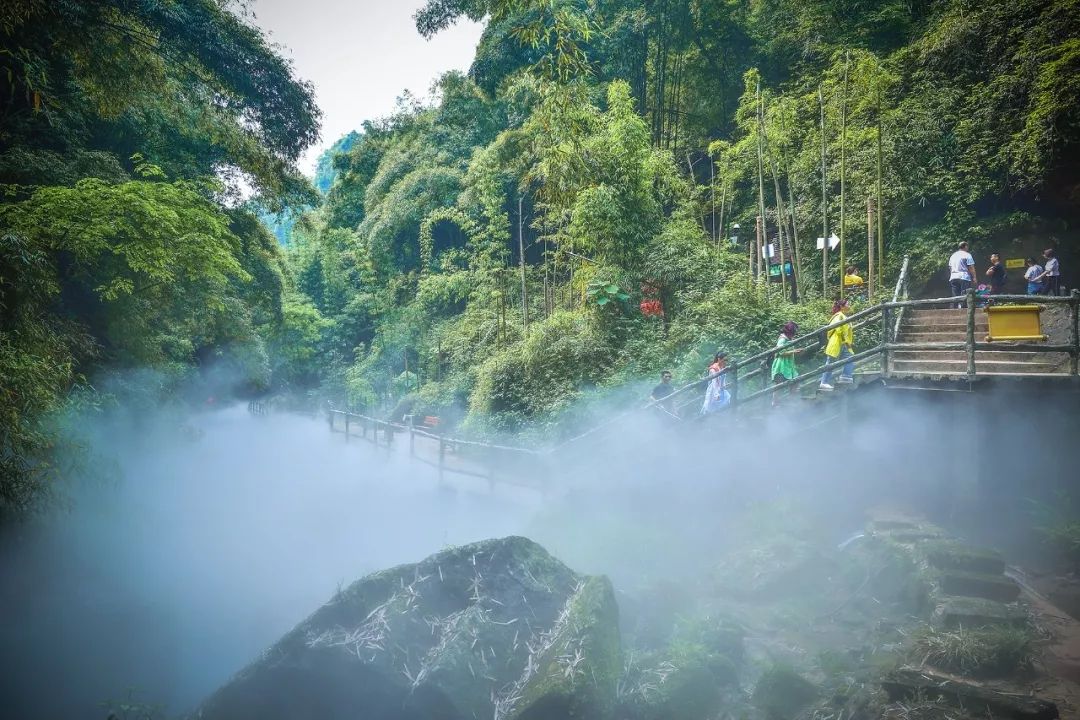 Come to the surroundings of Chengdu and feel the forest surround - iNEWS