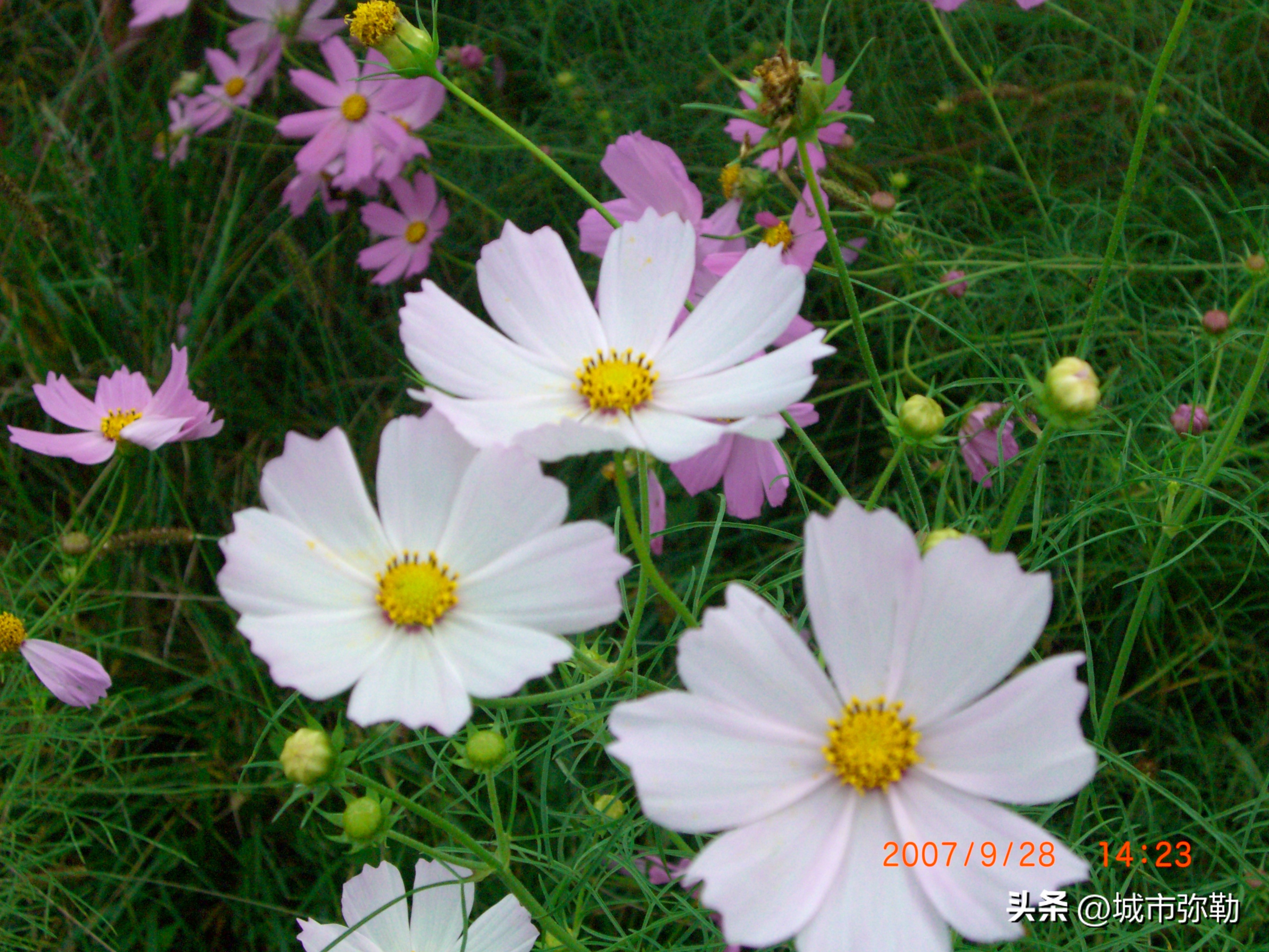 [Walking in the world] You are the wind and I am the sand lingering ...