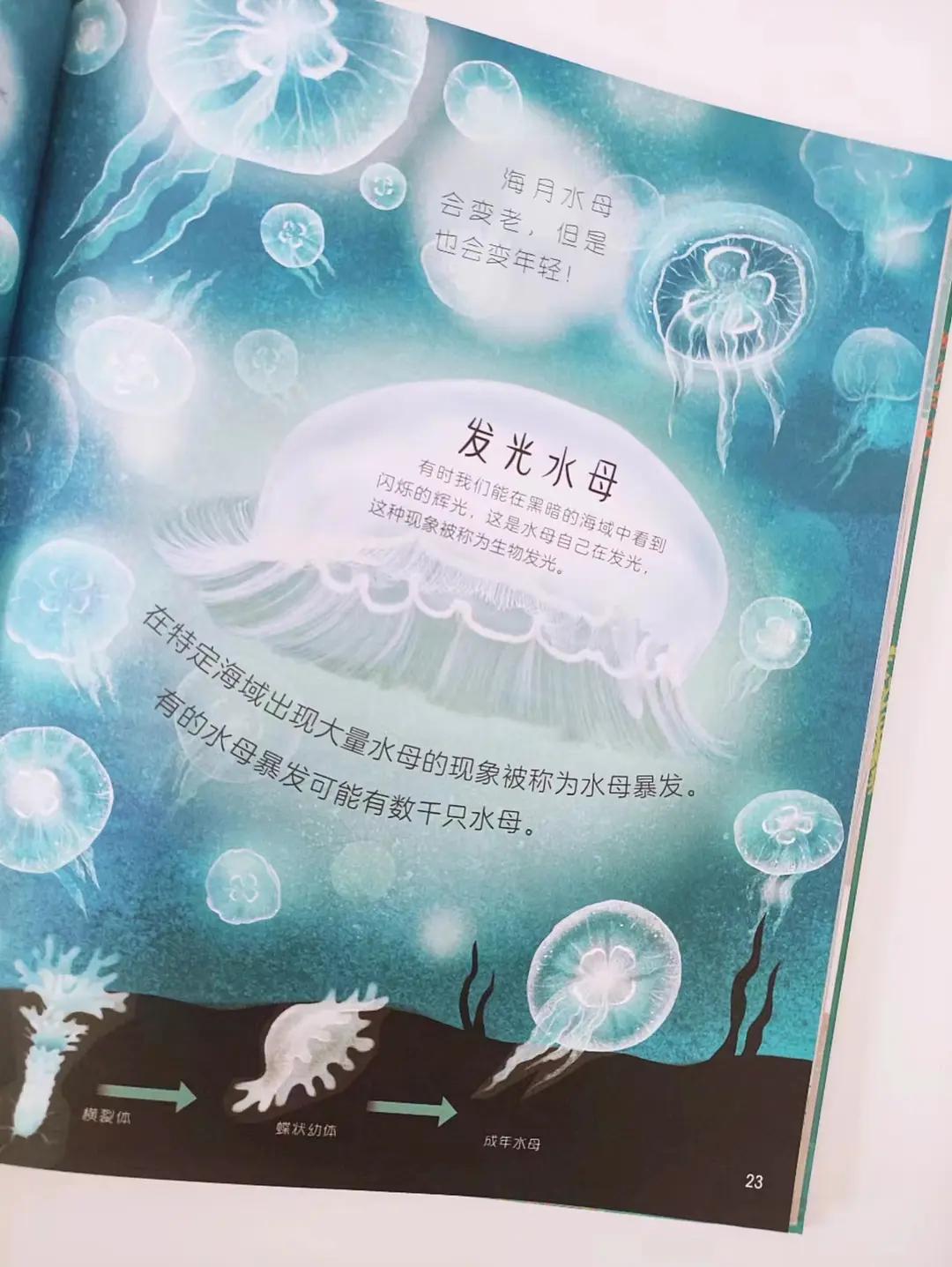 "DK Incredible Ocean Encyclopedia" leads children to explore the ...