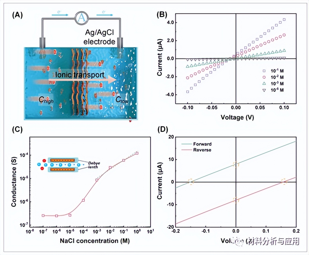 Gao Yihua's team at Huazhong University of Science and Technology ...