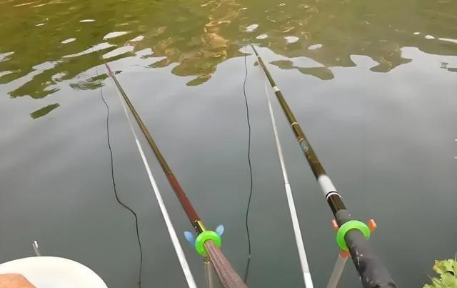 If you don't want to catch nothing in the wild, you should know these 8 ...