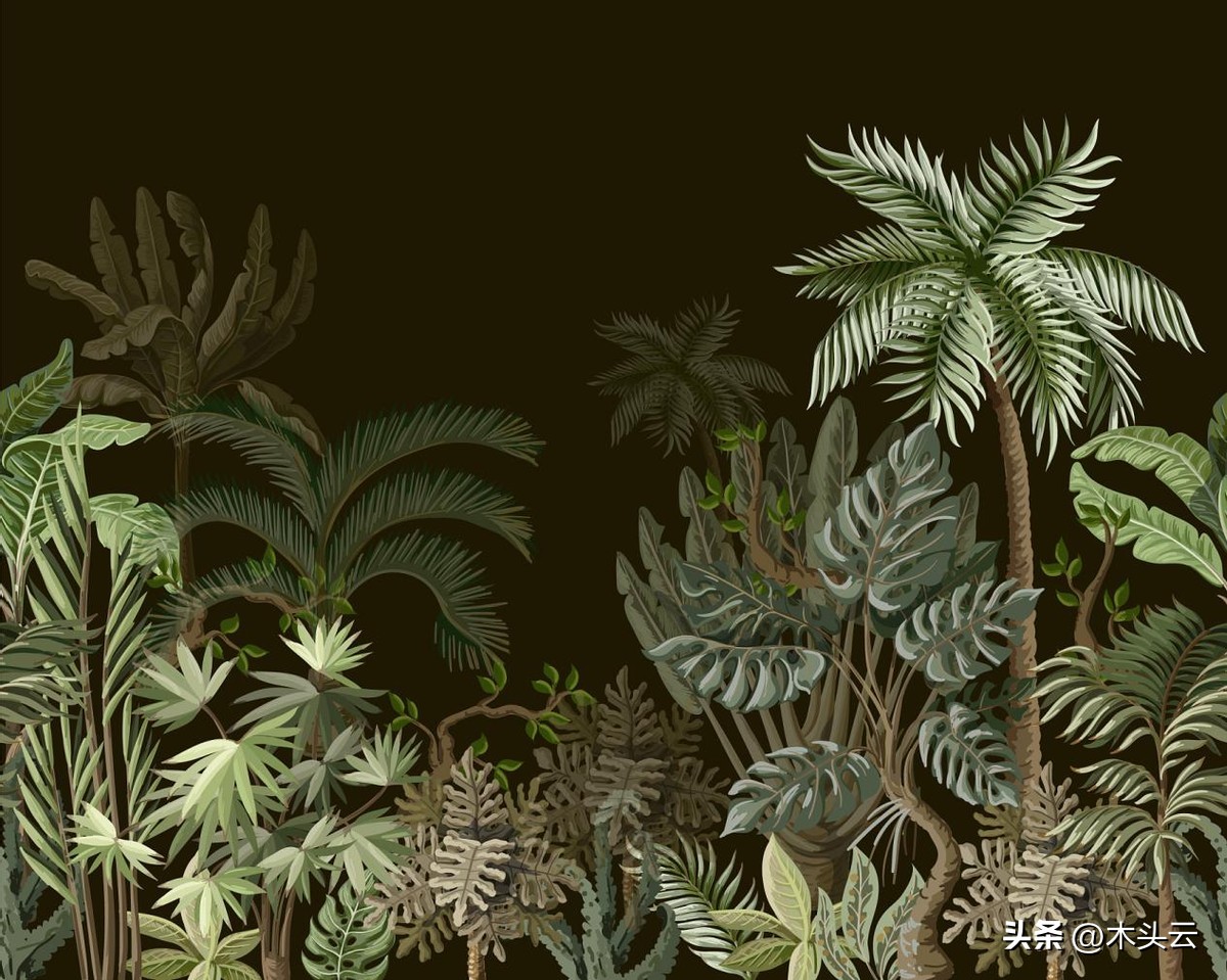 Tropical forest biomass is rising in Africa and South America, but ...