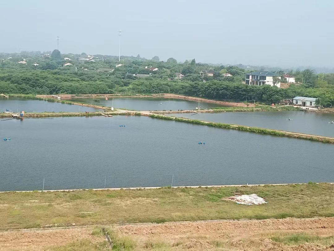 With the advent of the cold wave, how can the off-season California ...