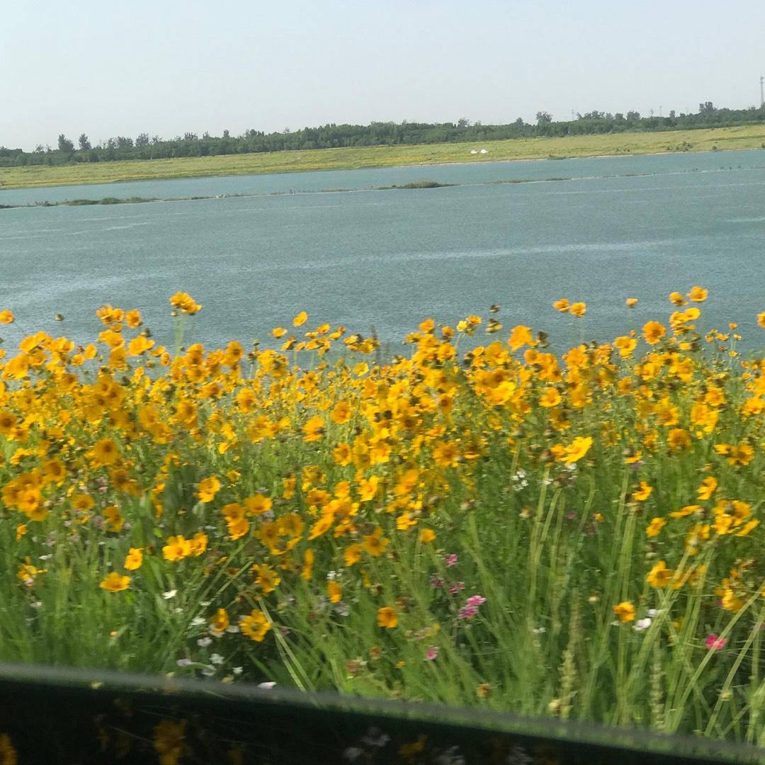 Poetry Interpretation "Over the Hedge", a thousand readers have a ...