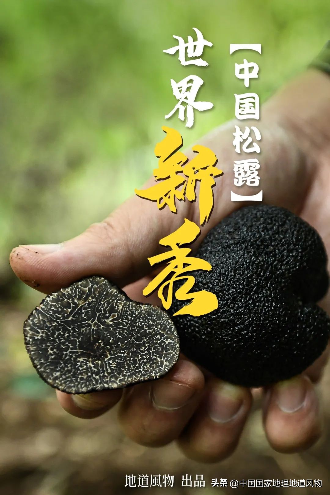 From "black diamond" to "pig arch fungus", how can the Chinese pull ...