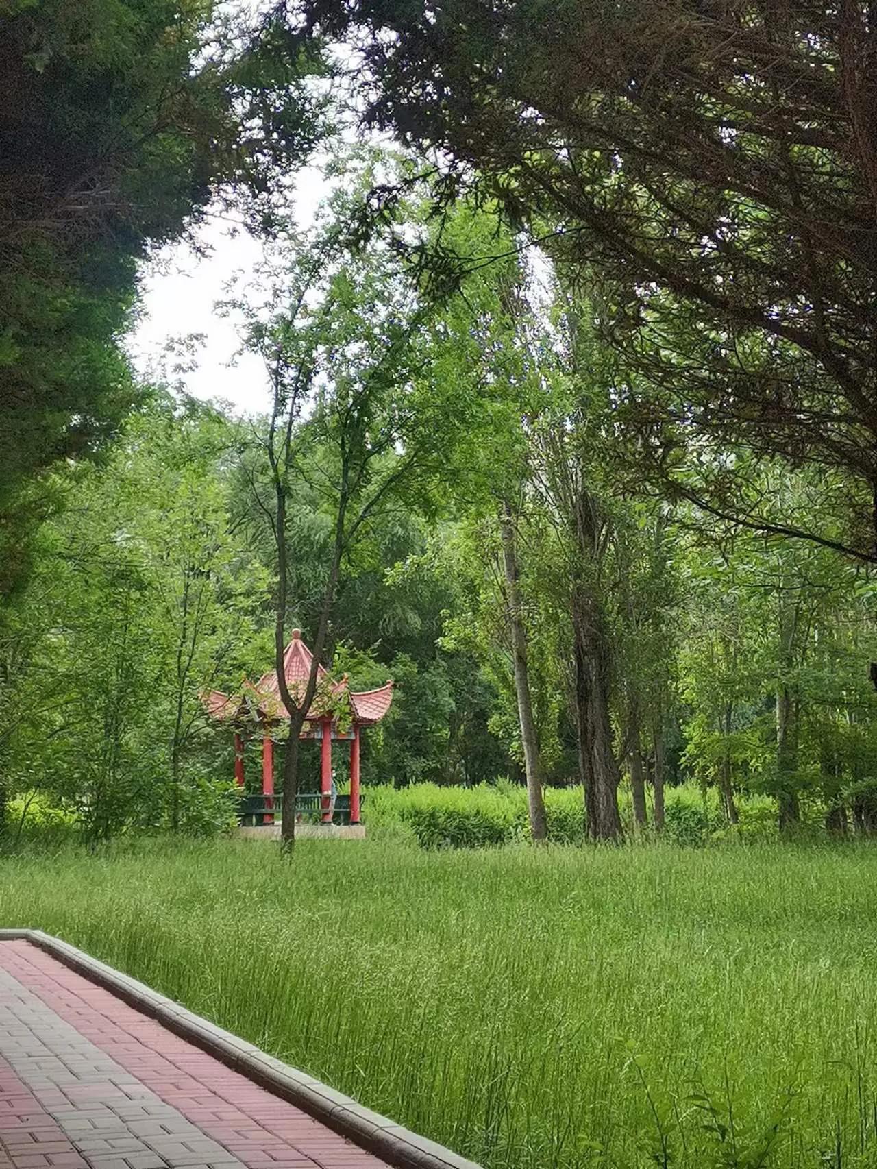 Parents should take children's bad imitation seriously - iNEWS