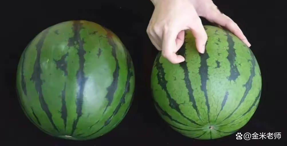 How to choose a sweet and ripe watermelon? Six soil methods, choose one ...
