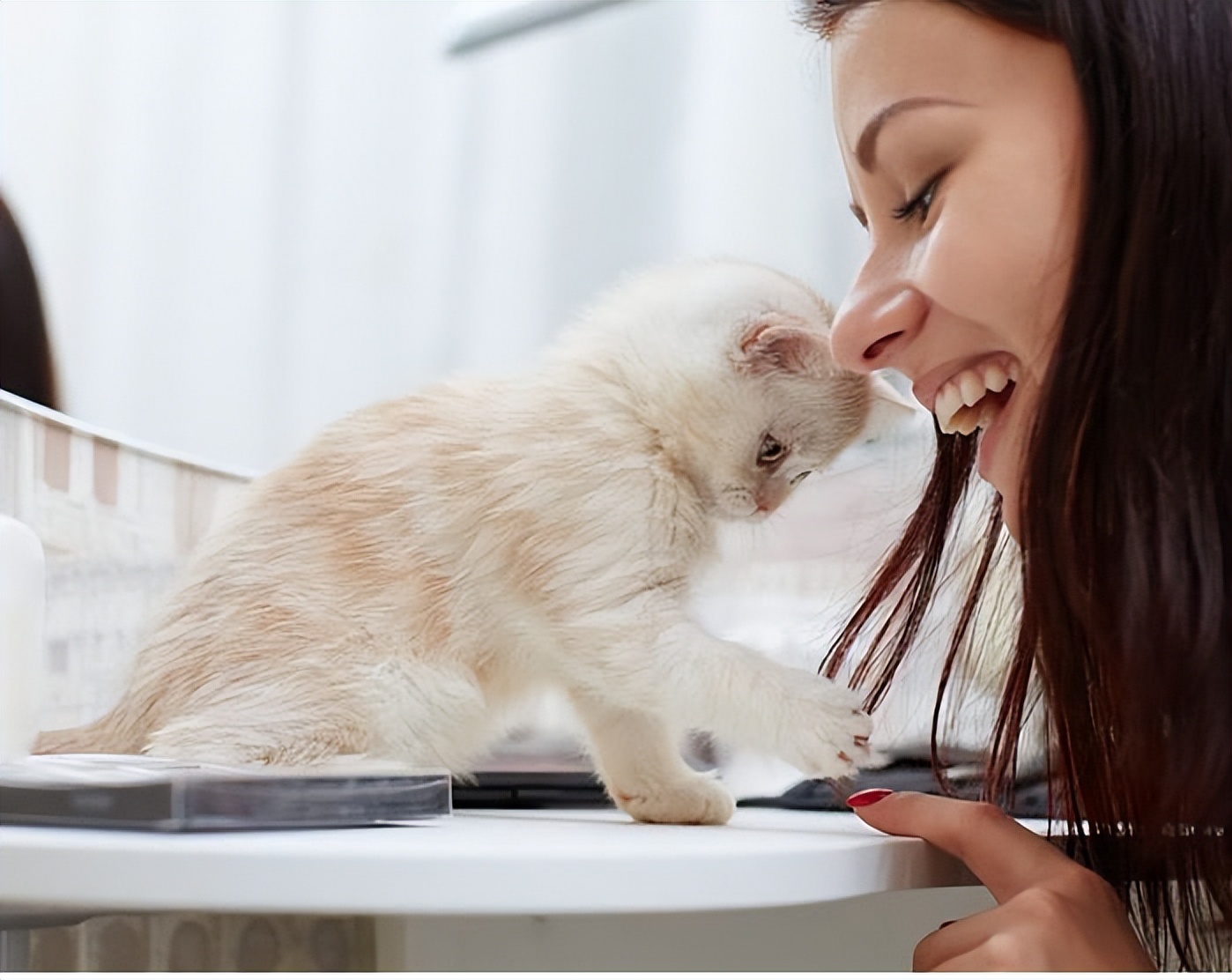 Cat Stickiness Ranking: The 8 most sticky cats, each one is a "sticky ...