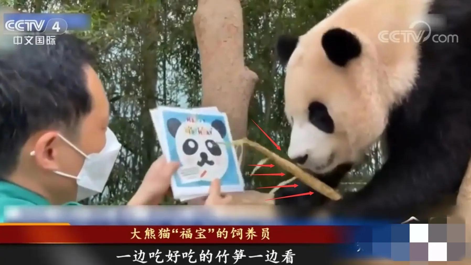 What is the current status of Panda Yaya? - iMedia