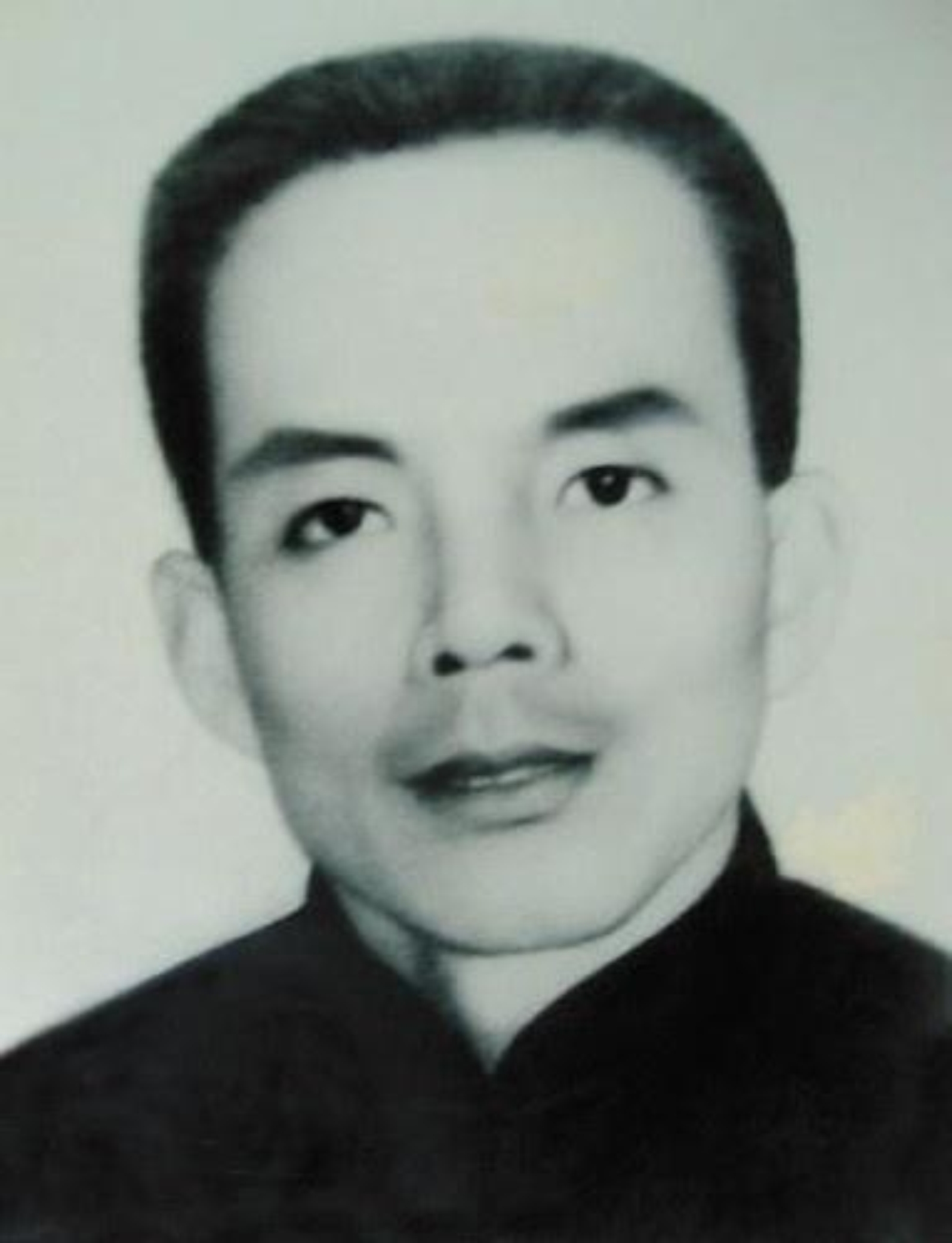 Why did the Dongjiang Column, an anti-Japanese powerhouse, only have ...