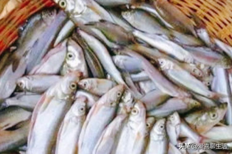 Fried small fish, it's wrong to hang it, teach you the correct way, the ...