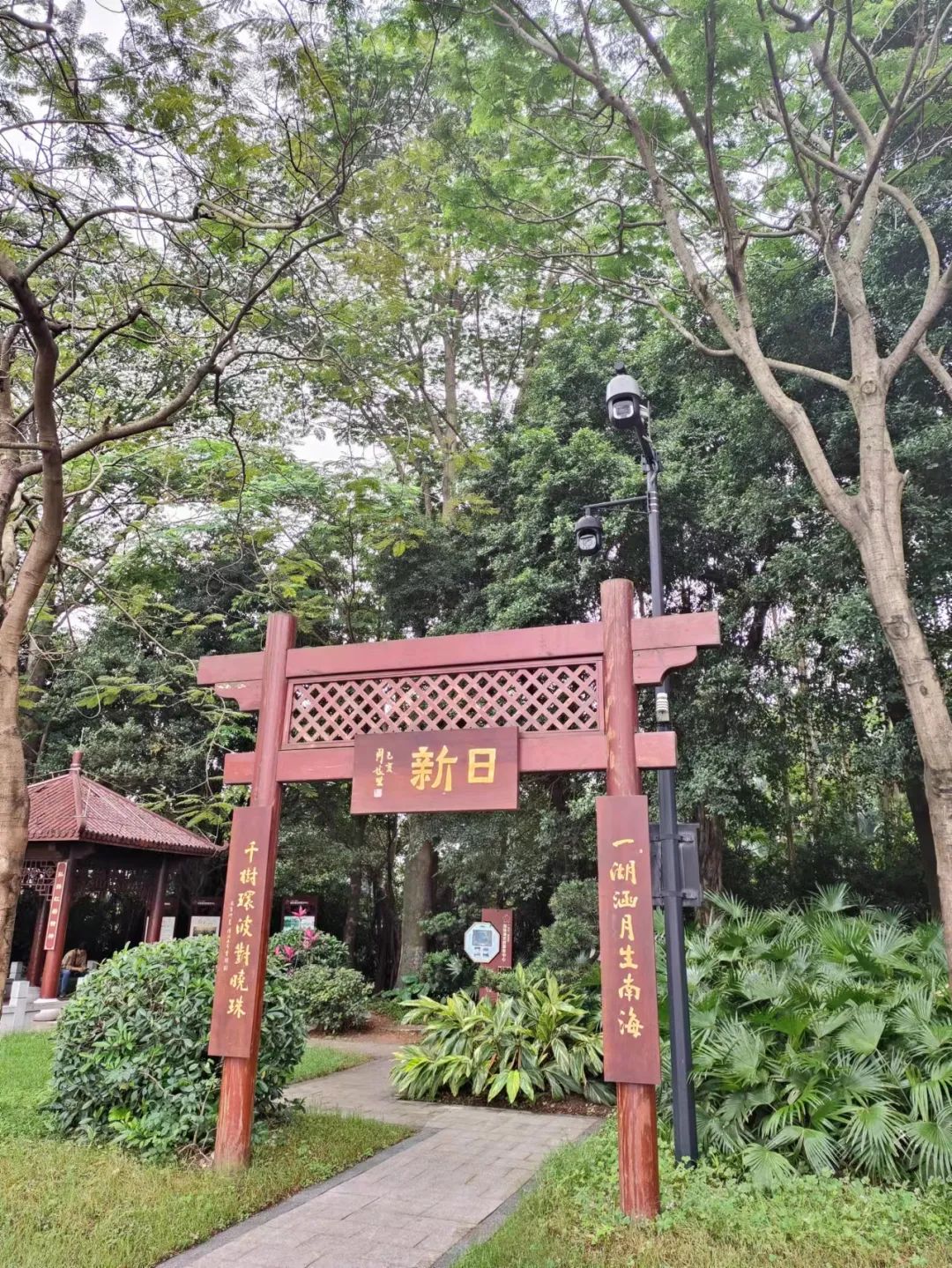 Haizhu Wetland is Prosperous and Beautiful, Ten Miles of River Breeze ...