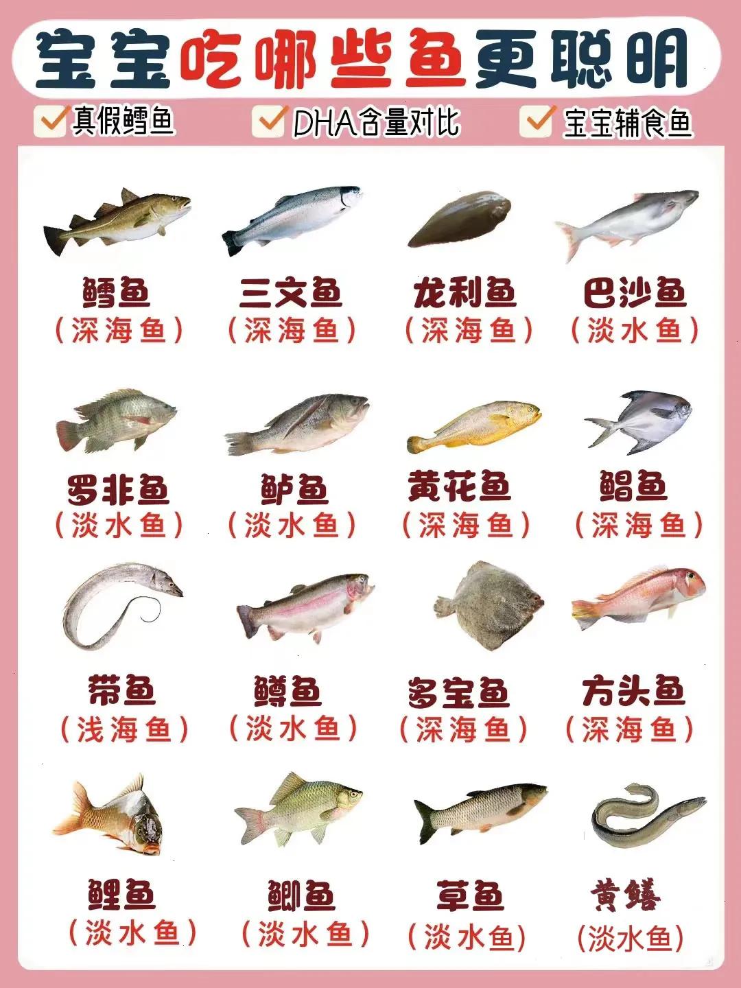 Learn to eat fish and supplement your baby with DHA needed for growth ...