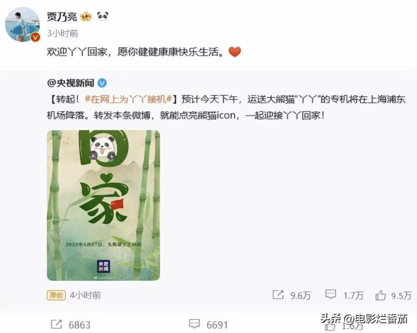 When Yaya returns to China, all the stars speak out! Looking back again ...