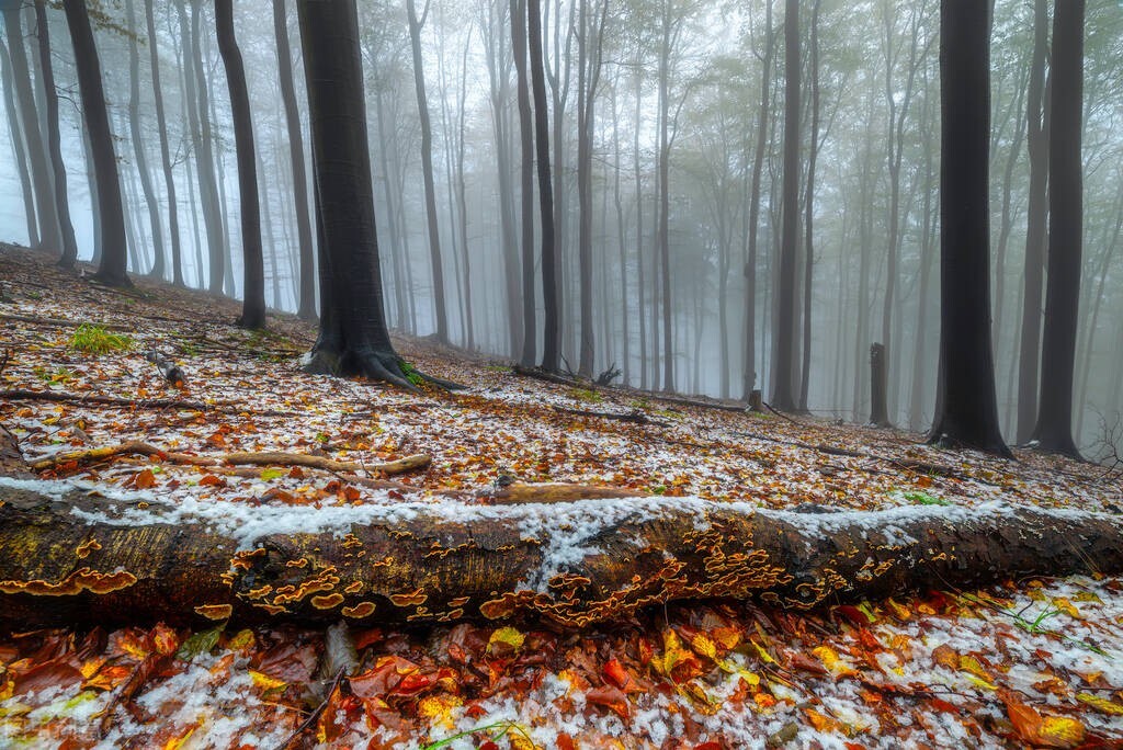 Zhaoyang Palace: Chapter 260, The truth is hard to bear, Zhu Wan ...