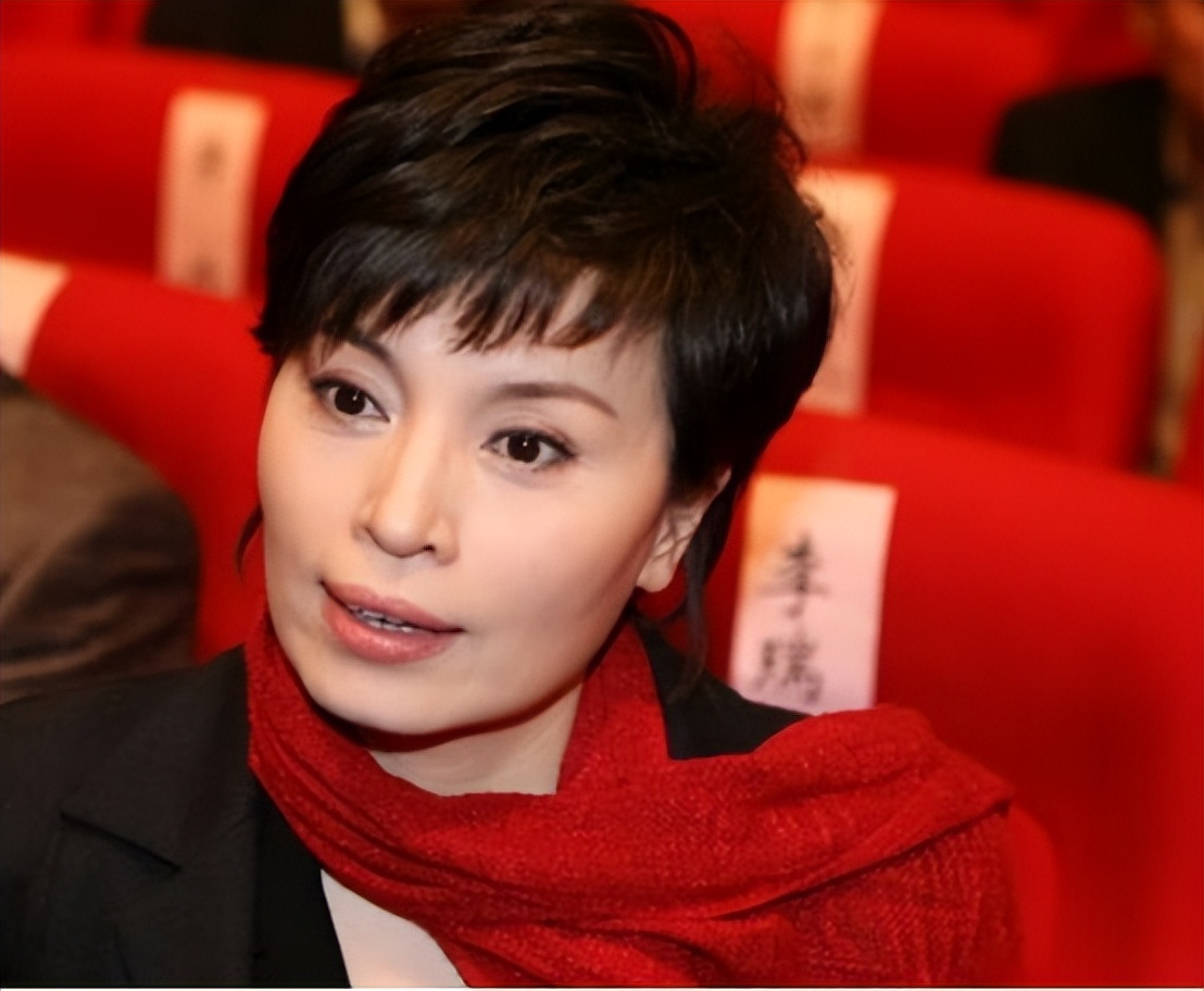 CCTV Li Ruiying: 28 years of work without mistakes - iMedia
