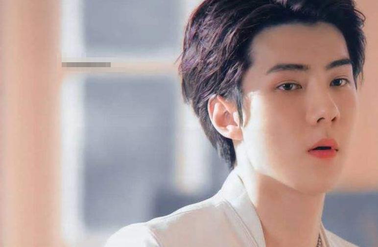 Wu Shixun's appearance declined?The swollen face and cheeks have become greasy, and the youthful ...