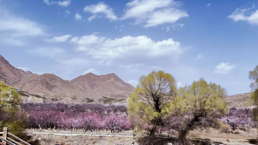 There is art and life, a different land in northern Saibei - iMedia