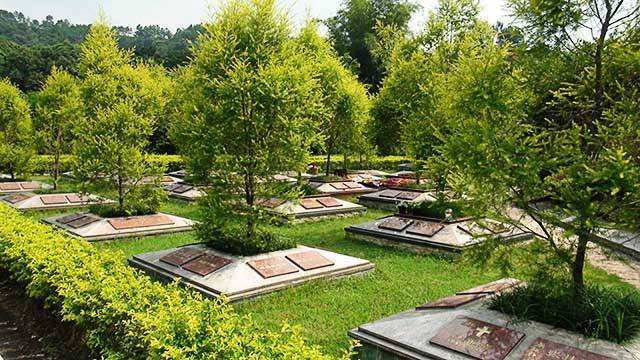Burial spaces are changing ancient funeral customs, and "tree burials ...