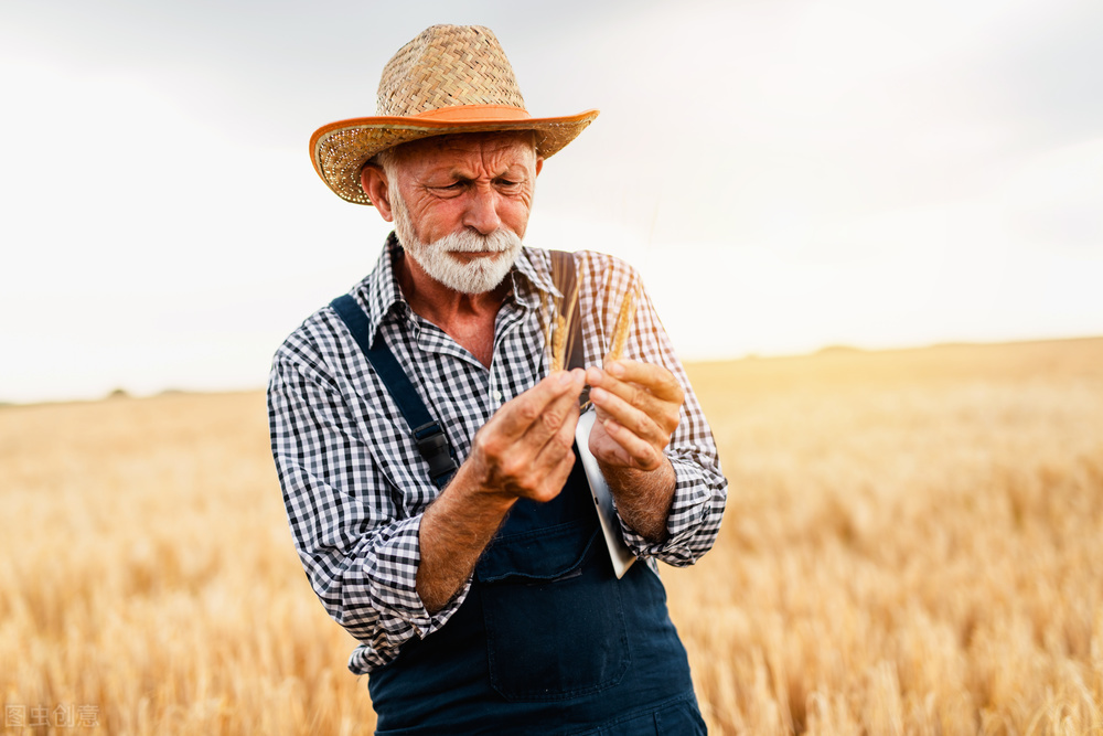 Should a single old man find a wife after the age of 60?People who come ...