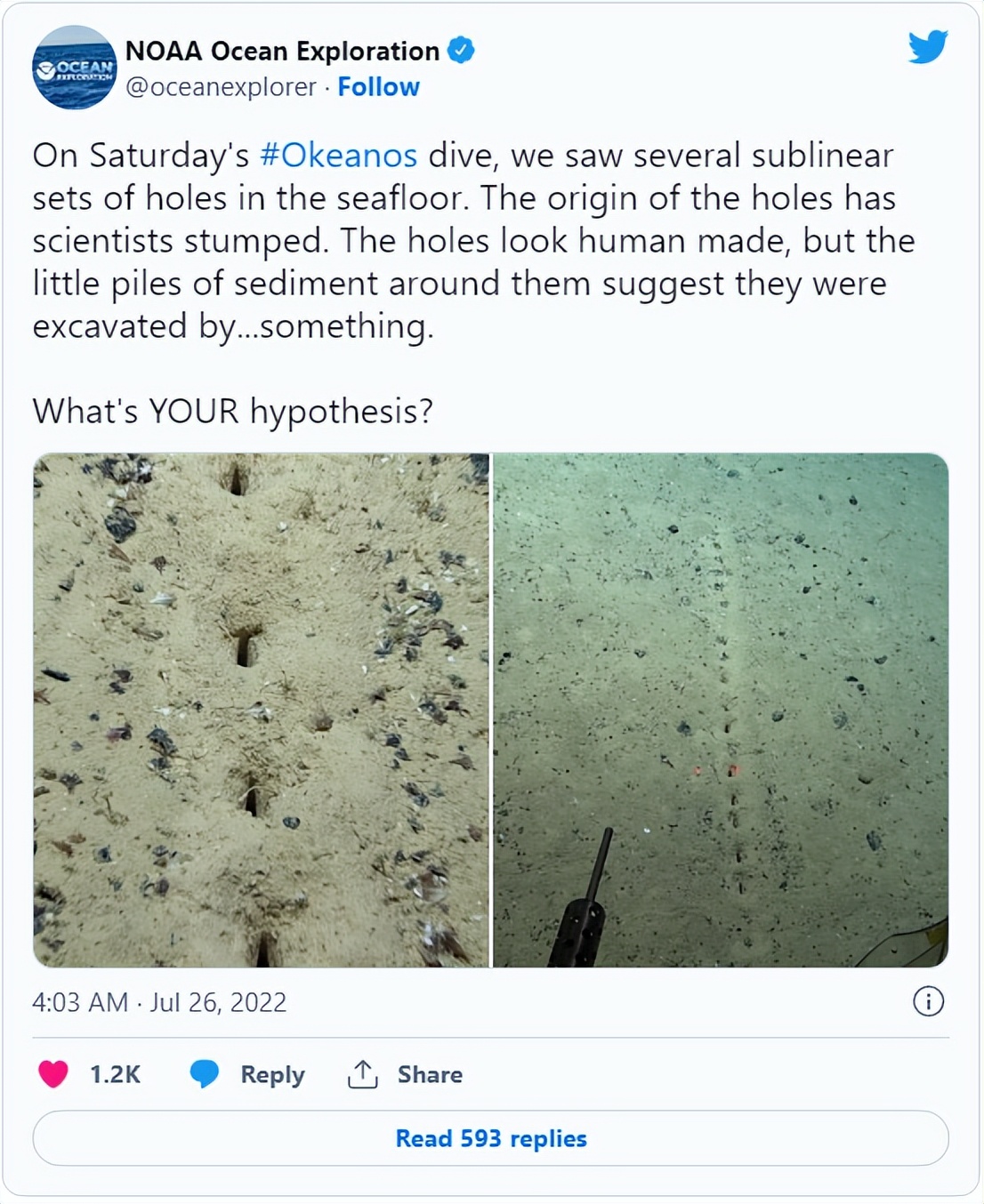 Mysterious hole discovered in the Atlantic Ocean stuns scientists ...