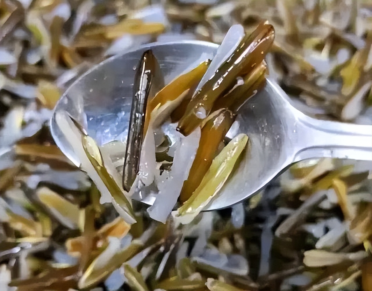The "longest rice" in the world is given the nickname local tyrant rice ...