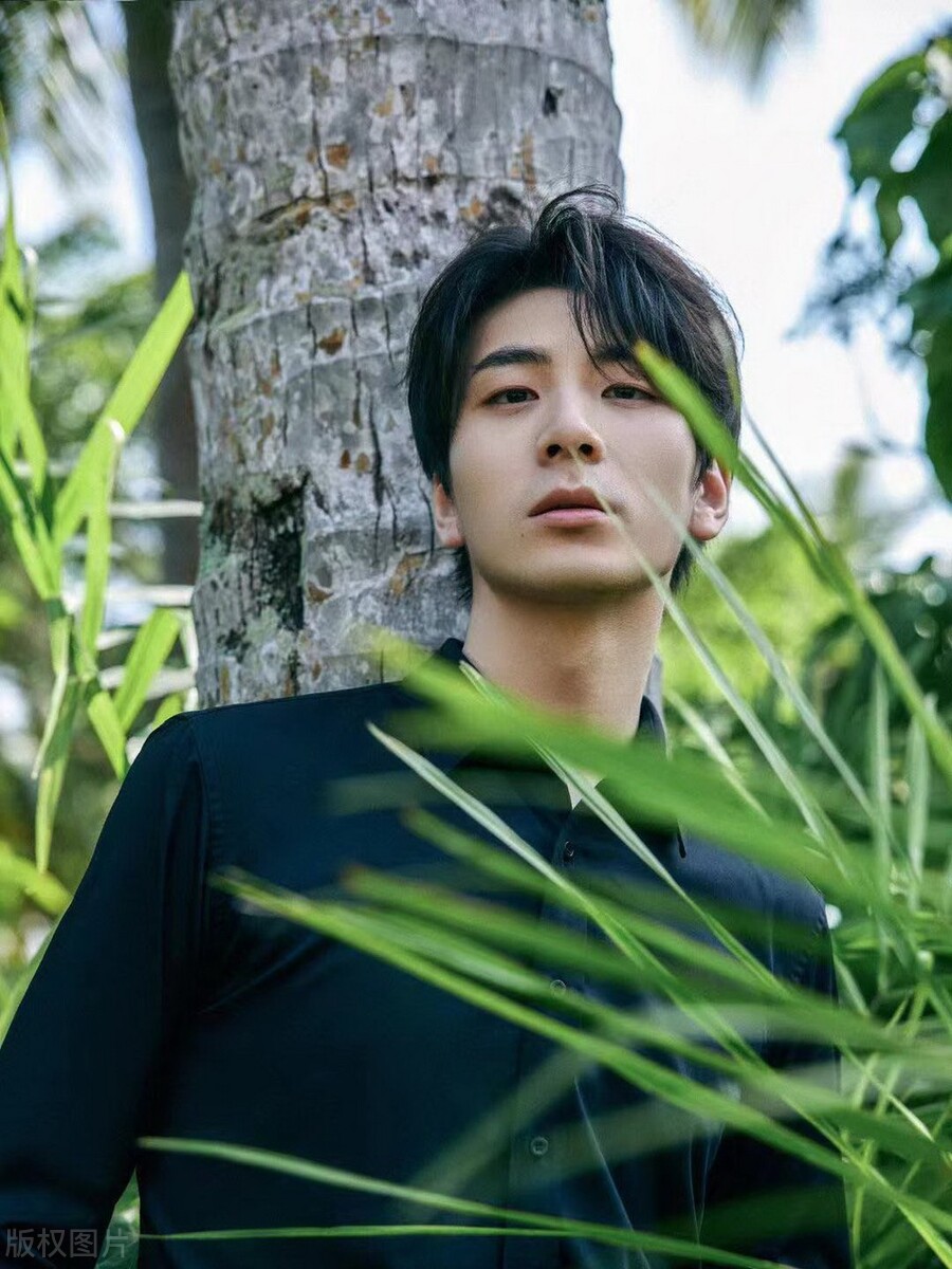 Cai Chengyu's mature and handsome - iNEWS