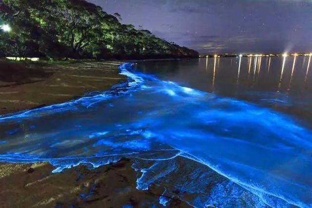 There are only seven fluorescent beaches in the world, one of which is ...