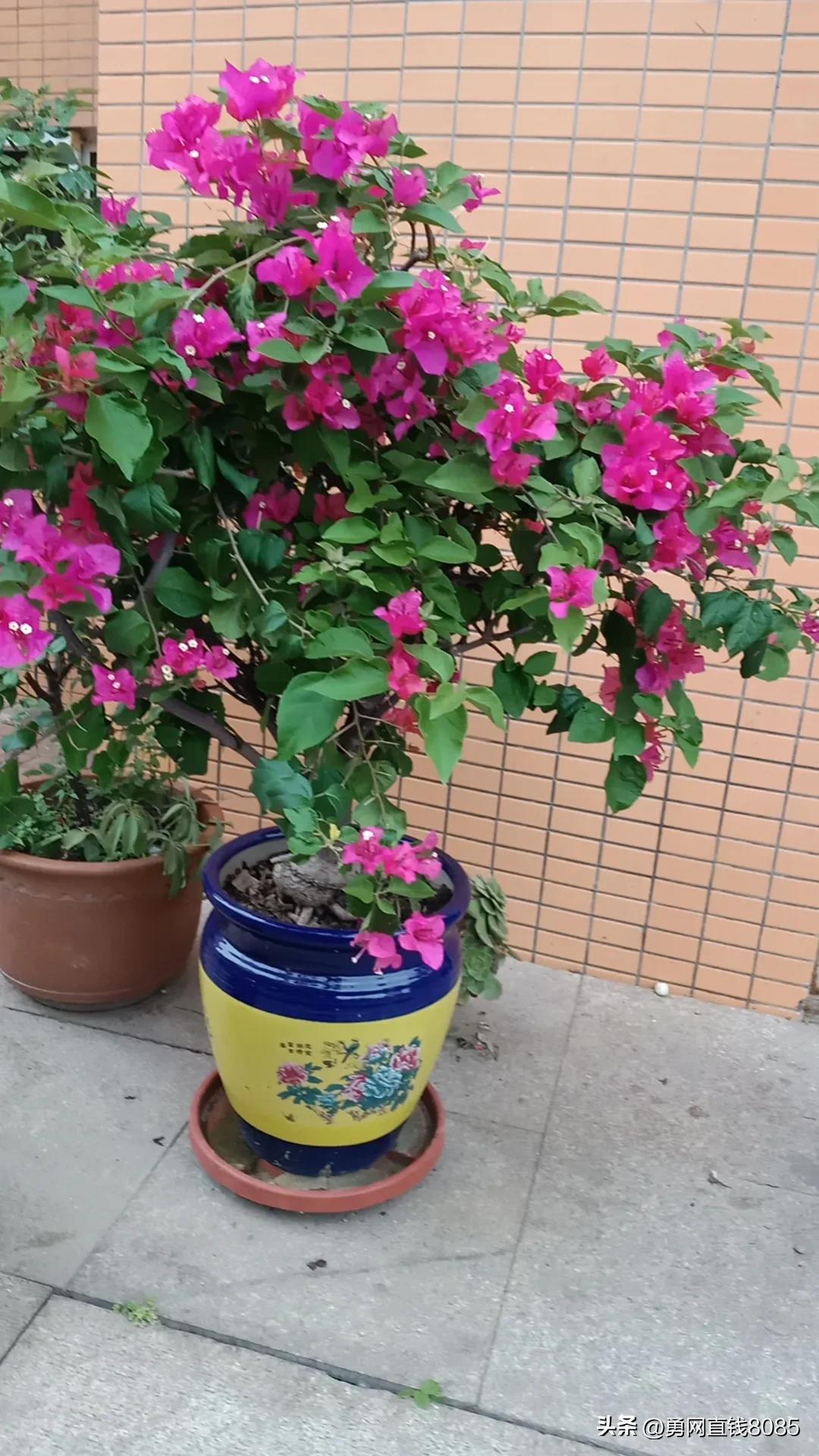 Don't read willfully - iMedia