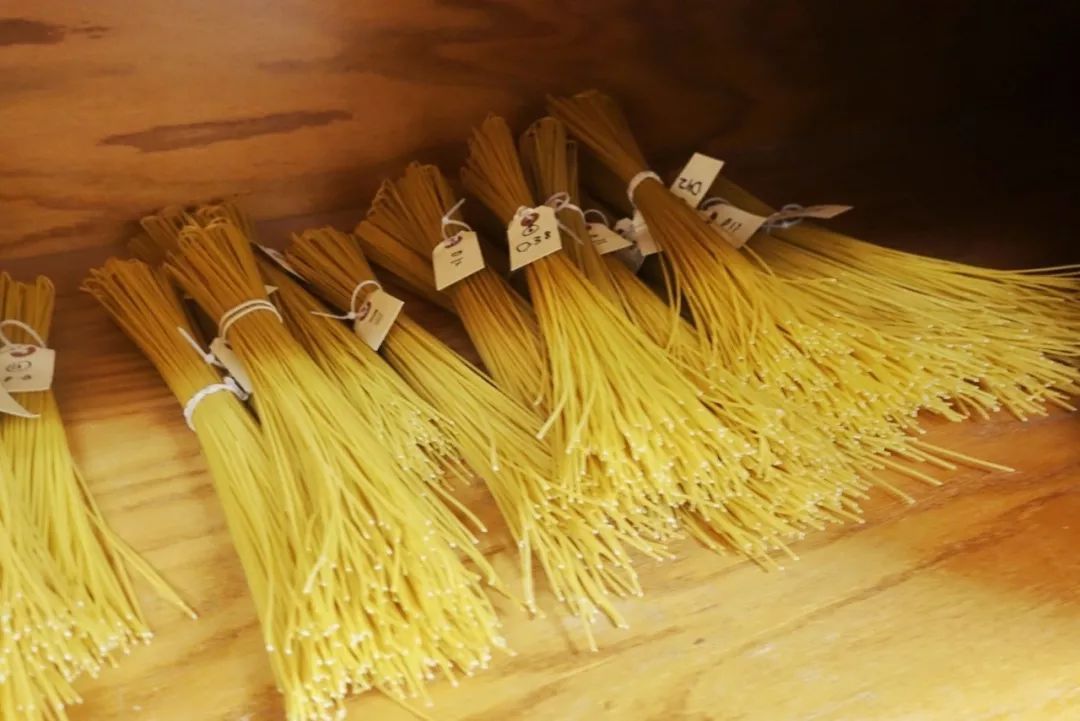 Spaghetti: Dante who wrote The Divine Comedy lost to spaghetti in terms ...
