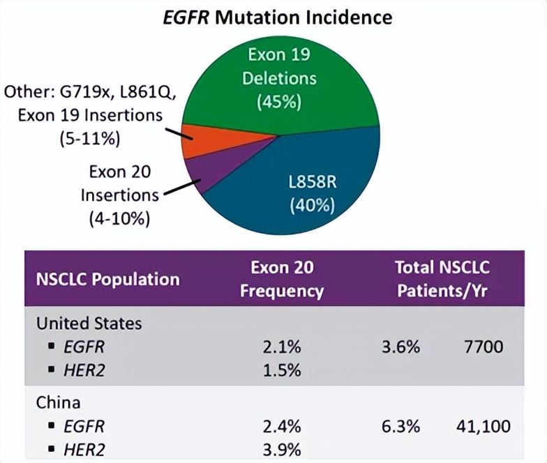Opportunities for the deployment of rare EGFR mutation subtypes of non ...