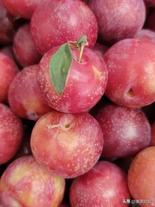 The ten most delicious plums in China, juicy, crispy and sweet, which ...
