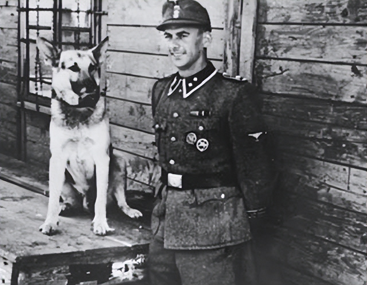 German military dog expert Mandorf's Nazi beasts The multifunctional ...