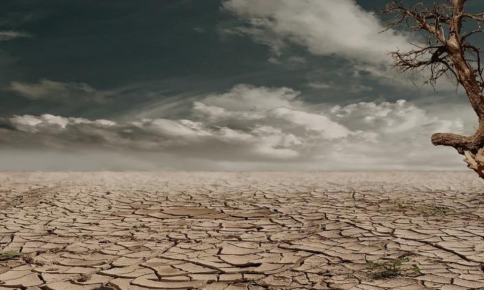 A bigger disaster is coming? Billions of people may face a food crisis ...