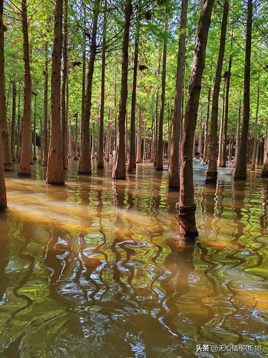 The most beautiful April day in the world, live up to the spring and ...