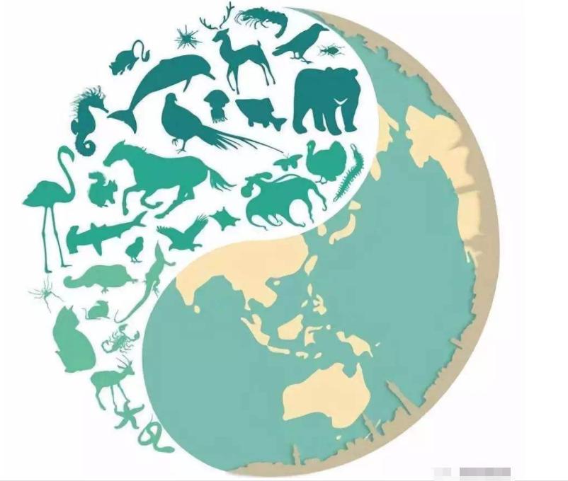 Why do most males use the same organ for copulation and urination, and ...