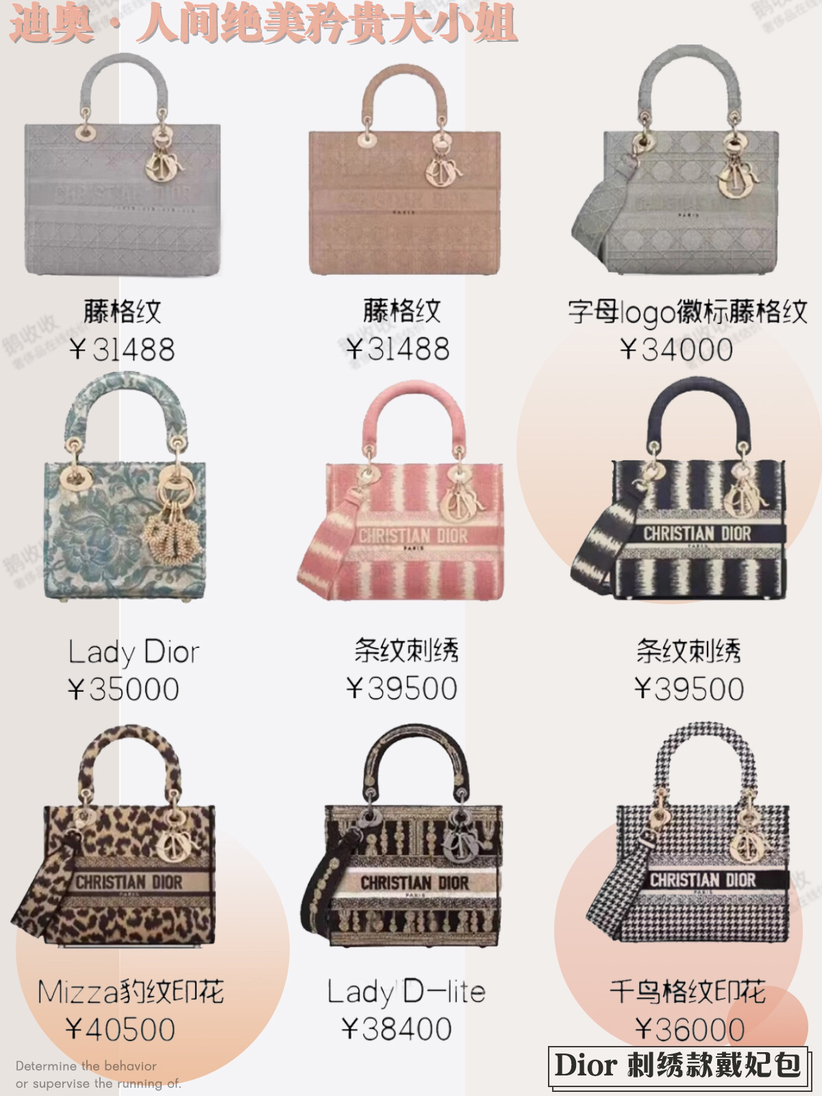 Dior Dior Princess Dior embroidery series - iNEWS