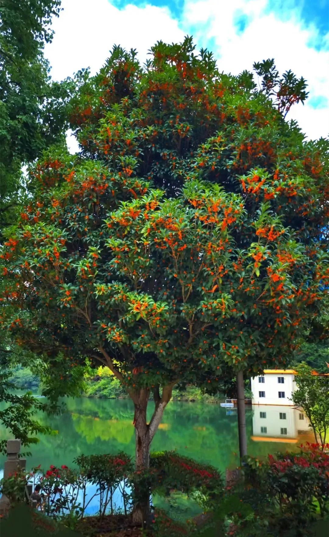 A leisurely tour of Yimen - iNEWS