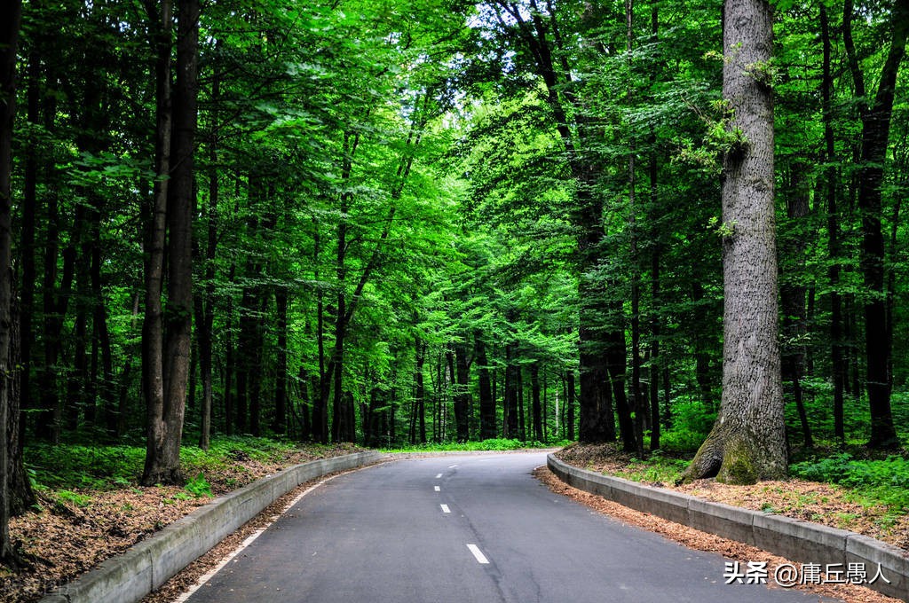 The road of life the life of most people - iMedia