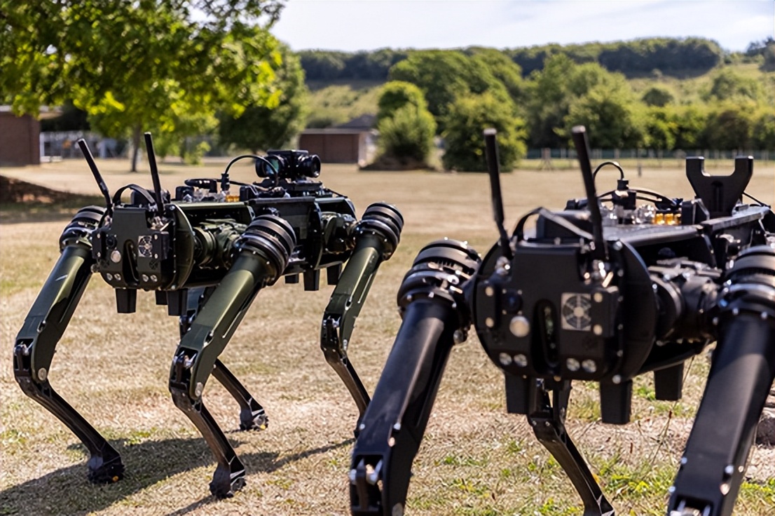 The British army is equipped with "ghost V60" patrol robot dogs. - iNEWS